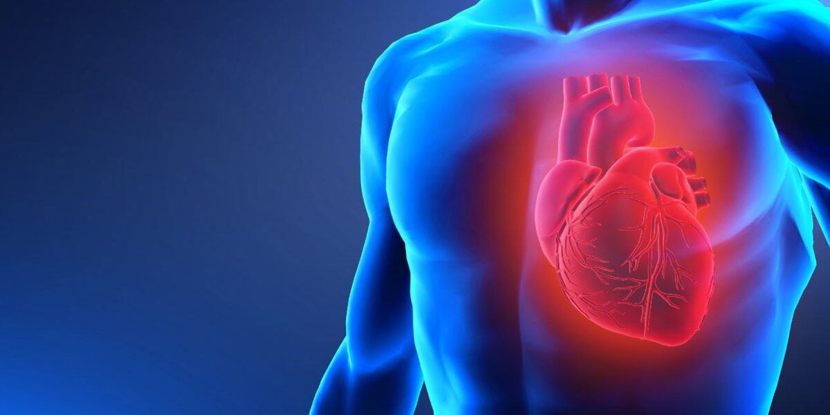 Alabama coaches could be required to increase cardiac arrest training ... Alabama coaches could be required to increase cardiac arrest training ...